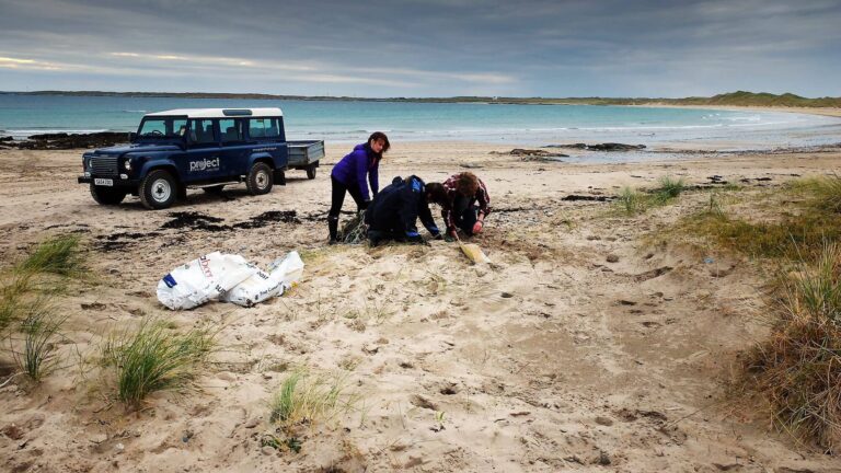 Work for Us - Project Trust